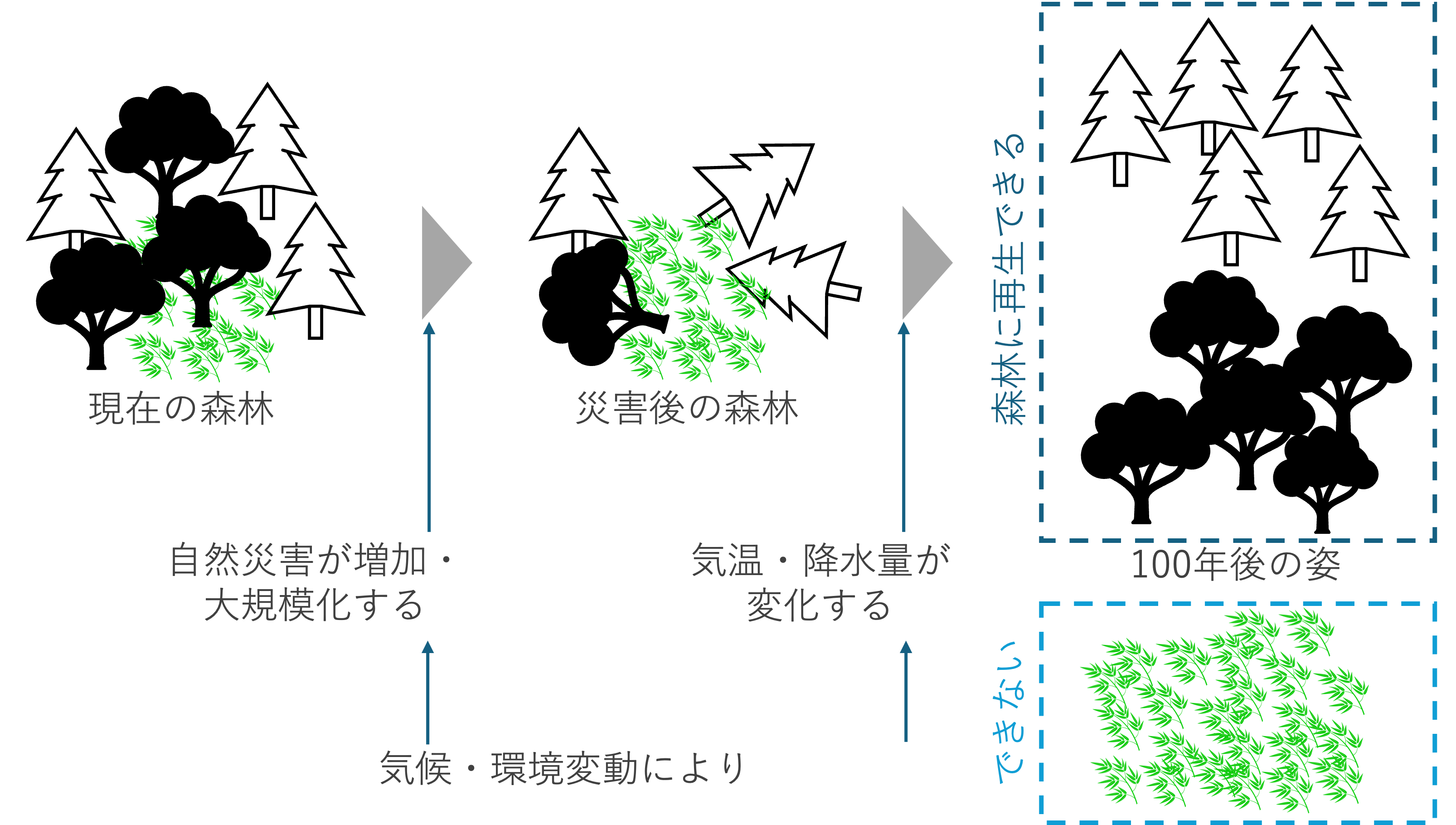 PRJ01. Localization and Development of Forest Landscape Model / 日本で使える森林景観モデルの開発 | Haga, Chihiro