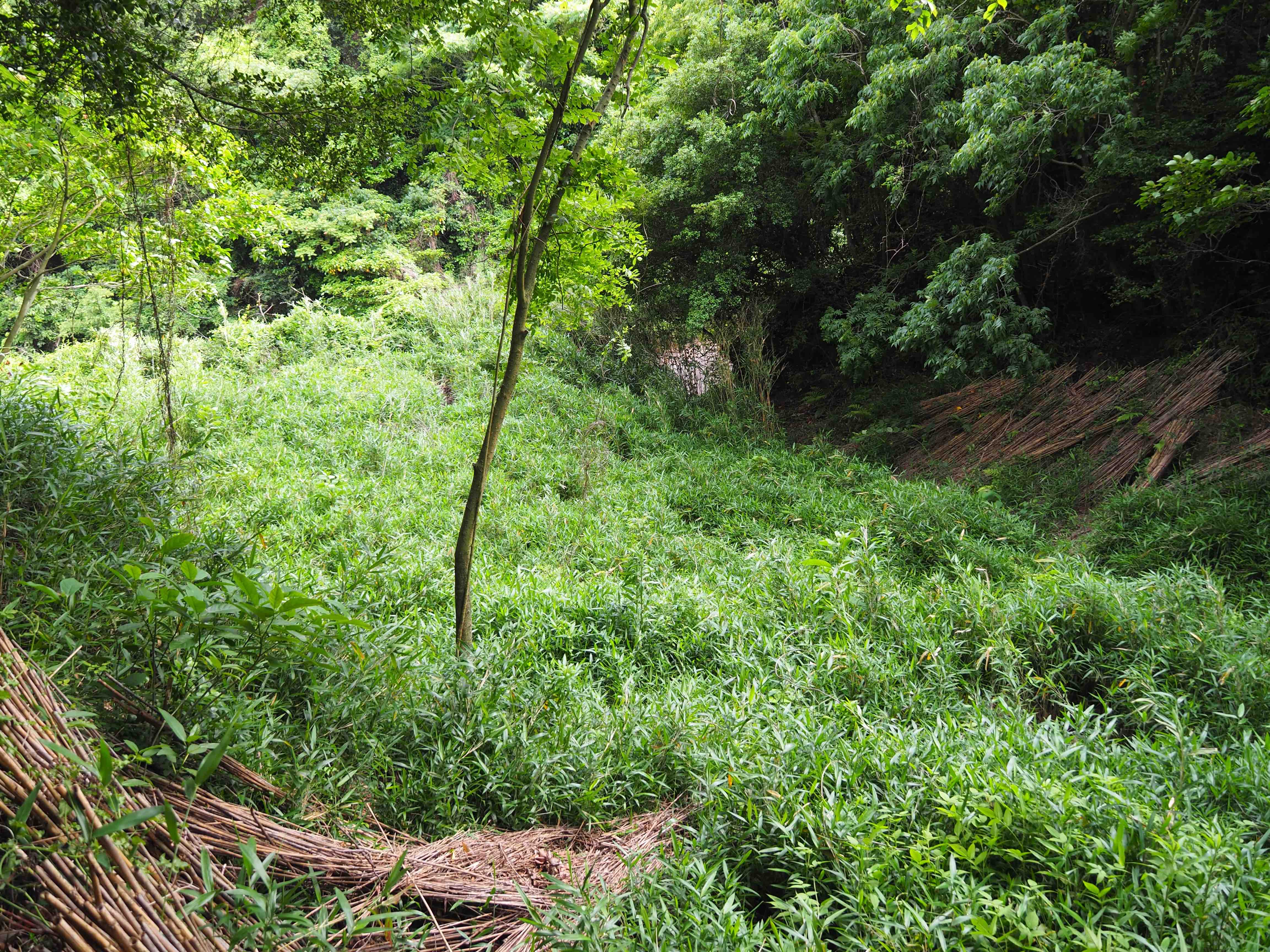 Nature Positiveかつ望ましい将来の景観のモデリング - 別寒辺牛川流域でのケーススタディ (Poster) | Haga, Chihiro